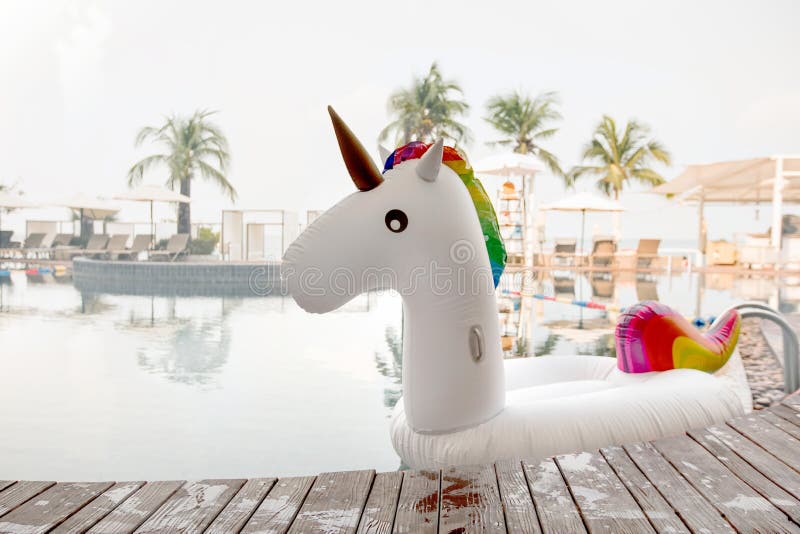 Unicornio Inflable Que Flota En Piscina Foto de archivo - Imagen de ...