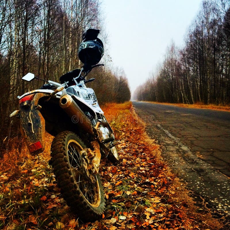 Unimaginable Beauty of Spring Editorial Photo - Image of spring ...