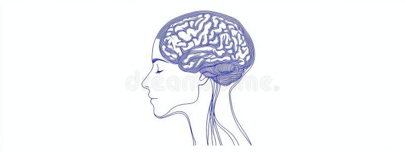 Human Brain White Linear Stock Illustrations – 5,349 Human Brain White ...