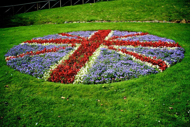 Union Jack flowers stock image. Image of flowerbed, union - 42605227