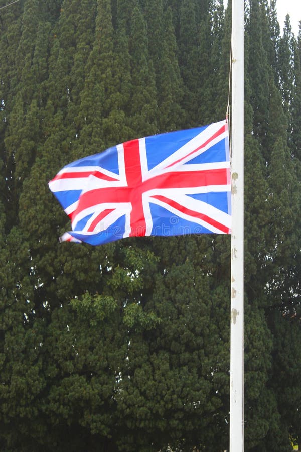 Union Jack Half Mast Hedge Backdrop Stock Photo - Image of northern ...