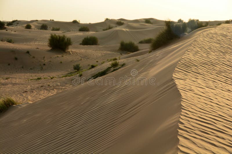 Uniqe and Beautiful Pattern in Sand Stock Image - Image of natural ...