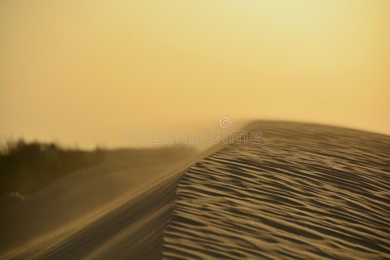 169 Uniqe Pattern Stock Photos - Free & Royalty-Free Stock Photos from ...