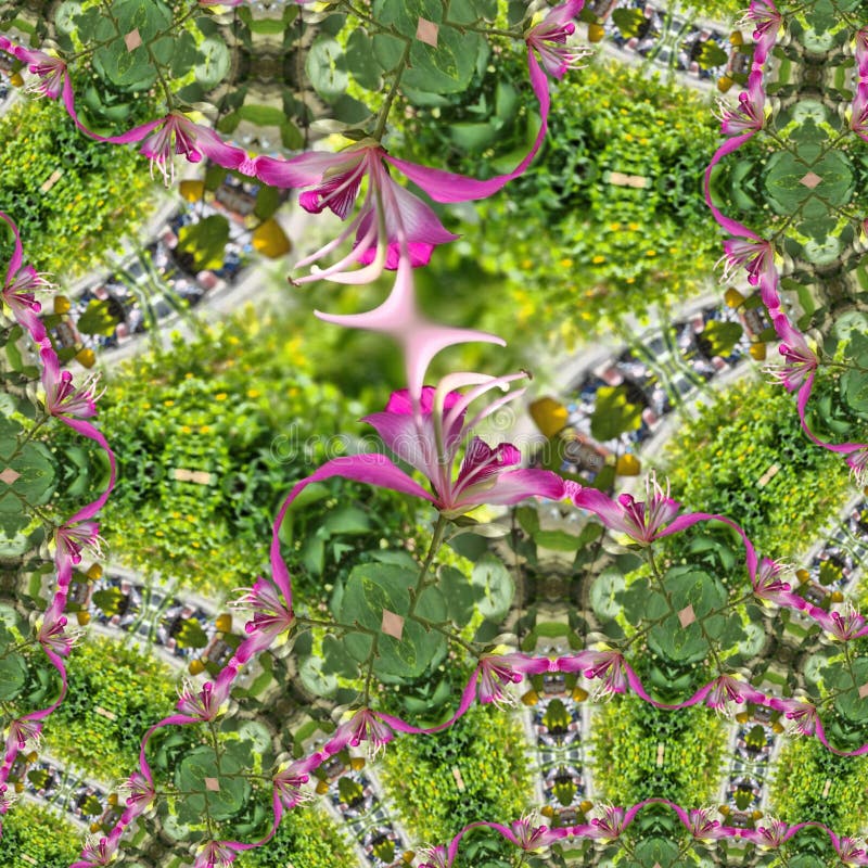 A Unique Abstract Image with Pink As the Color Combination Stock ...