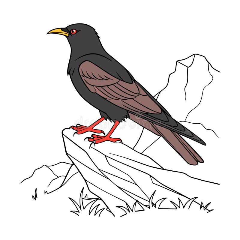 Unique Alpine Chough Bird Representation Stock Illustration ...