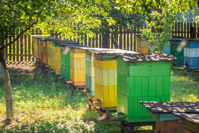 Unique Apiary in the Fruit Orchard. Ecological Honey Production Stock ...
