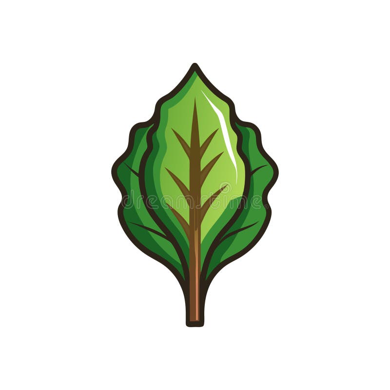 Detailed Artwork of Broad Leaf Arrowhead for Gardens Stock Illustration ...