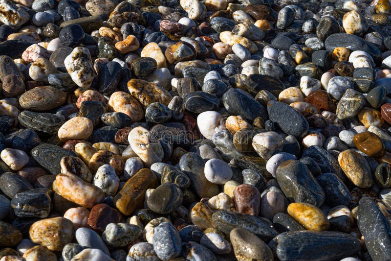 Unique Background Texture Pattern Colorful Wet Pebble Stones on the ...
