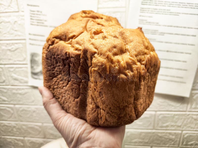 Unique Baked Creation Displayed in Kitchen with Recipe Notes in ...