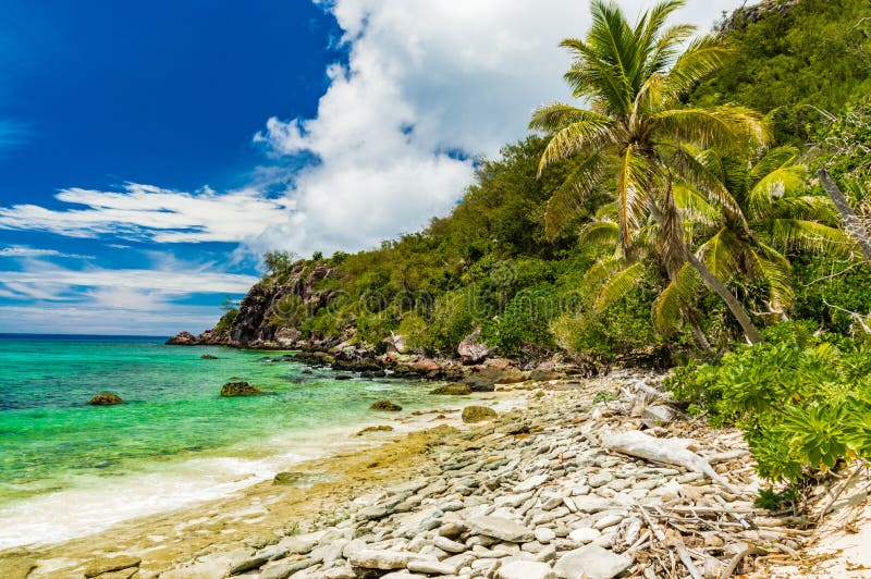 Unique Beach on Fiji`s Islands Stock Photo - Image of pure, remote ...