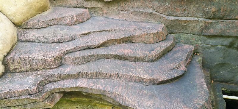 Artificial Ladder in the Pond Stock Photo - Image of artificial ...