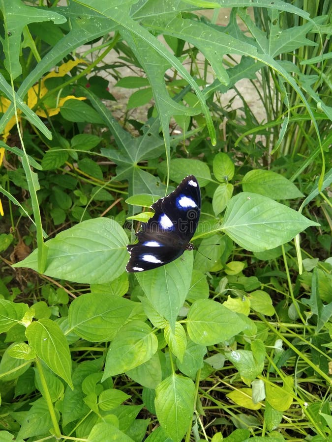 Morningunique Stock Photos - Free & Royalty-Free Stock Photos from ...