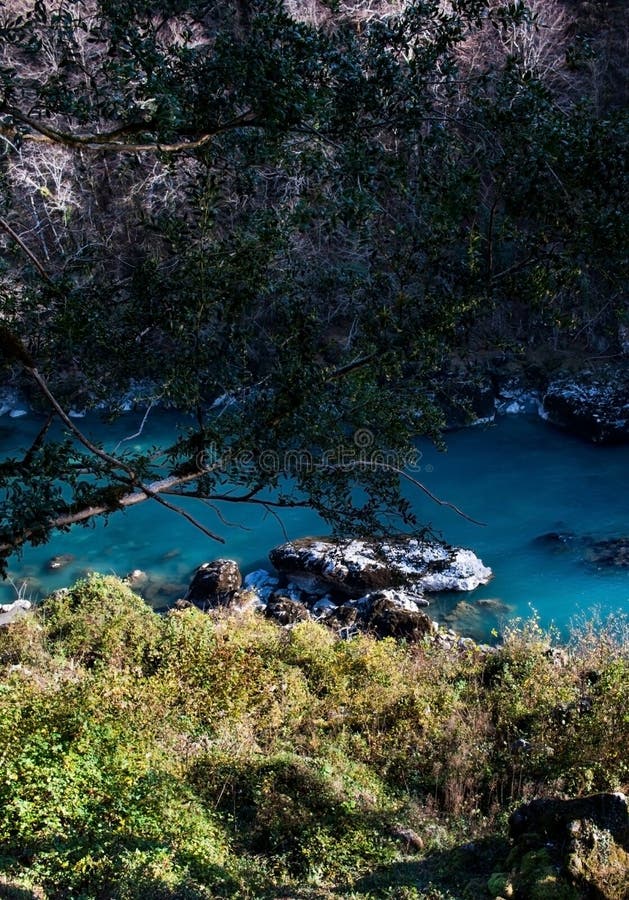 Unique Blue River in the Wood Stock Photo - Image of tree, blue: 183439546