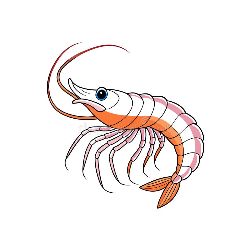 Unique Brine Shrimp Illustration for Coloring Fun Stock Image ...