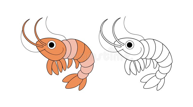 Unique Brine Shrimp Illustration for Coloring Fun Stock Vector ...