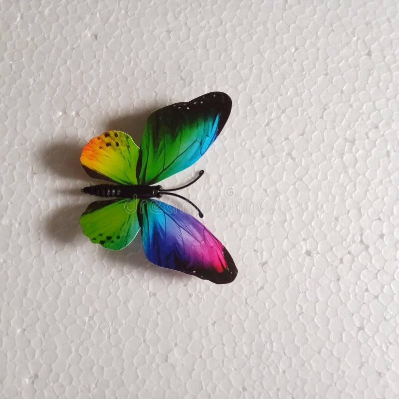 Unique Butterfly Images with Rich Colors Stock Image - Image of unique ...