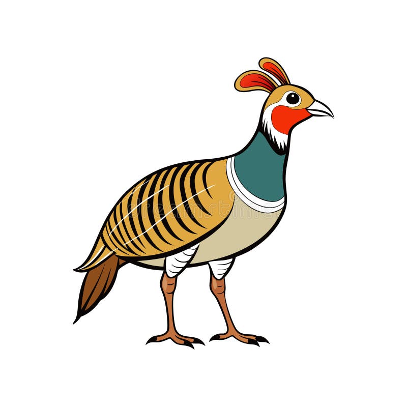Unique Chukar Illustration for Coloring Fun Stock Photo - Illustration ...