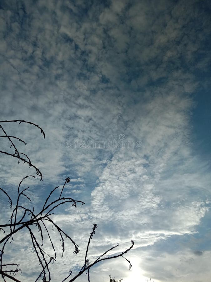 Unique Clouds and Tree Branch with Sunlight Stock Image - Image of ...