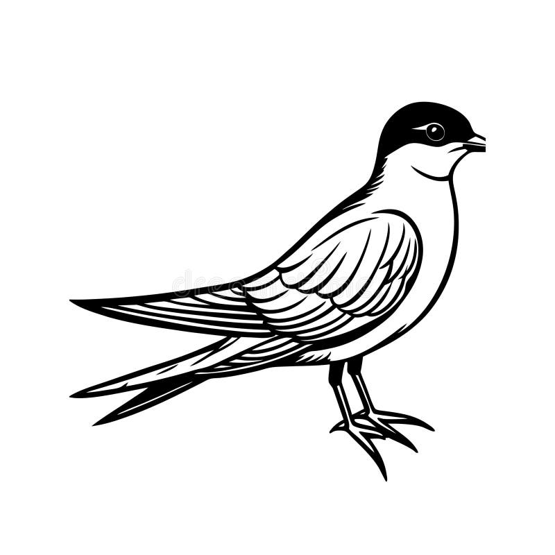 Unique Common Tern Illustration for Linocut Arts Fun Stock Image ...