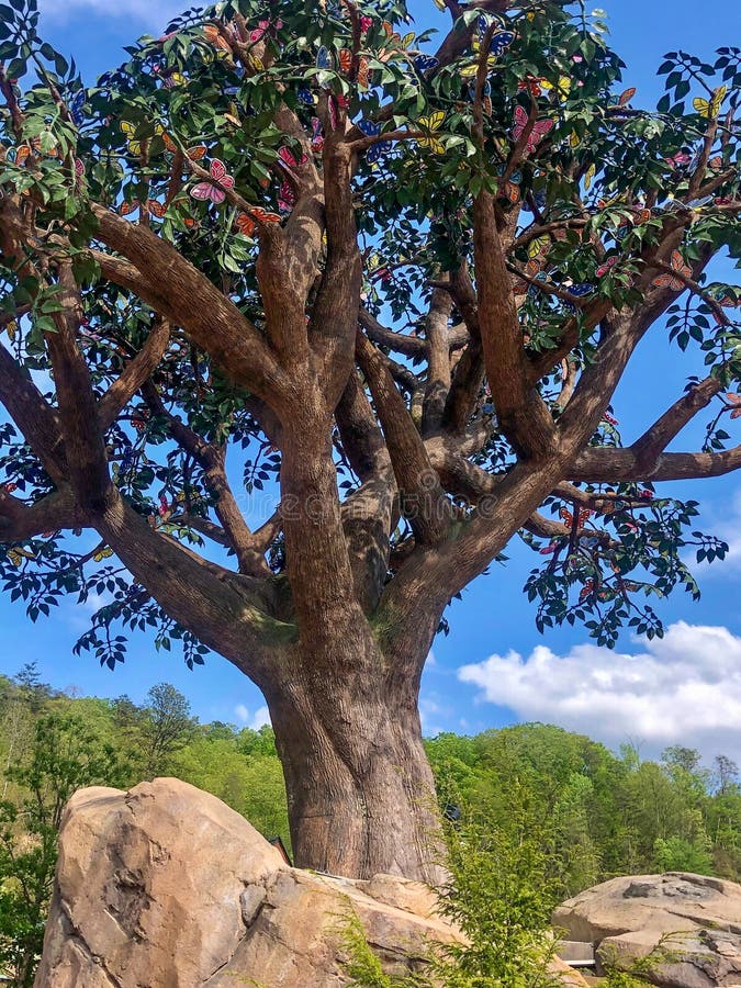 Unique and Creative Butterfly Tree Art Stock Image - Image of unique ...
