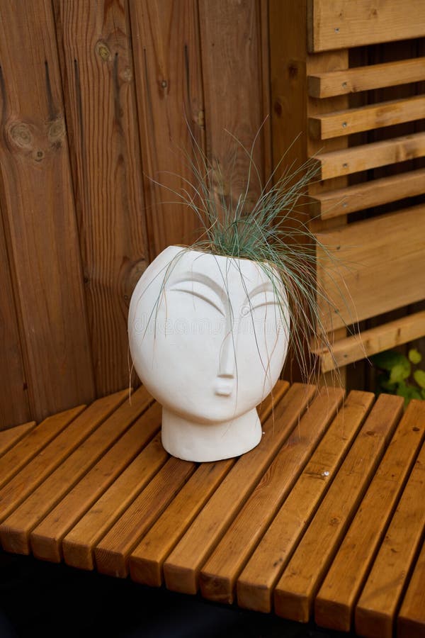 Creative Planter Featuring a Face Design and Grass for Stylish Home and ...