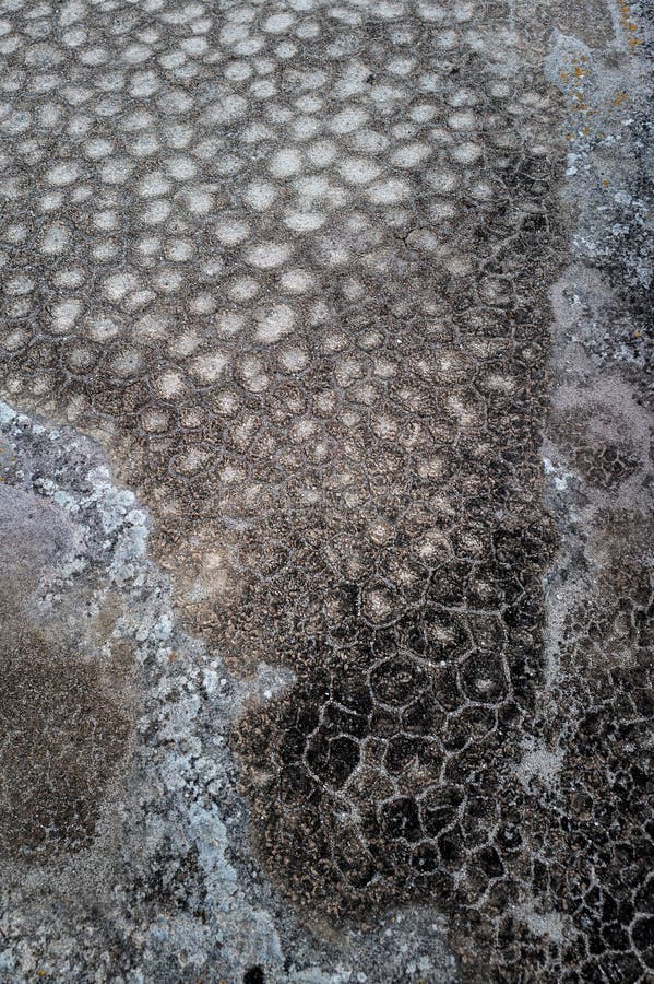 Unique Desert Pattern Formed in Rock from Water Stock Image - Image of ...