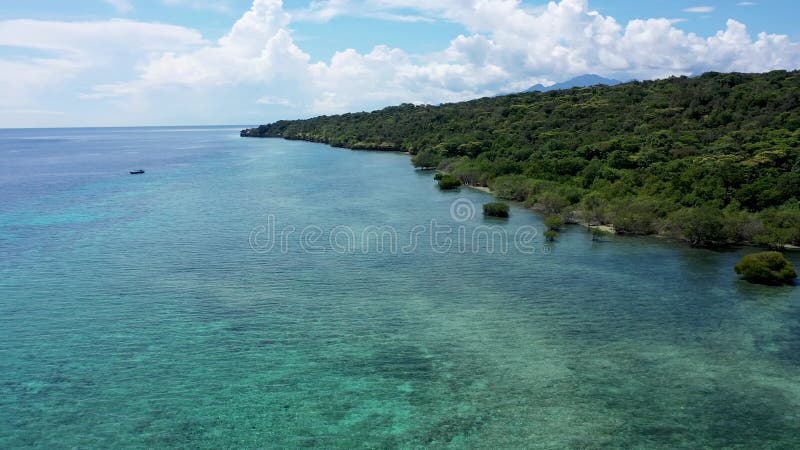 Unique Ecosystem in Bali, Mangroves Along the Coastline. Aerial View ...