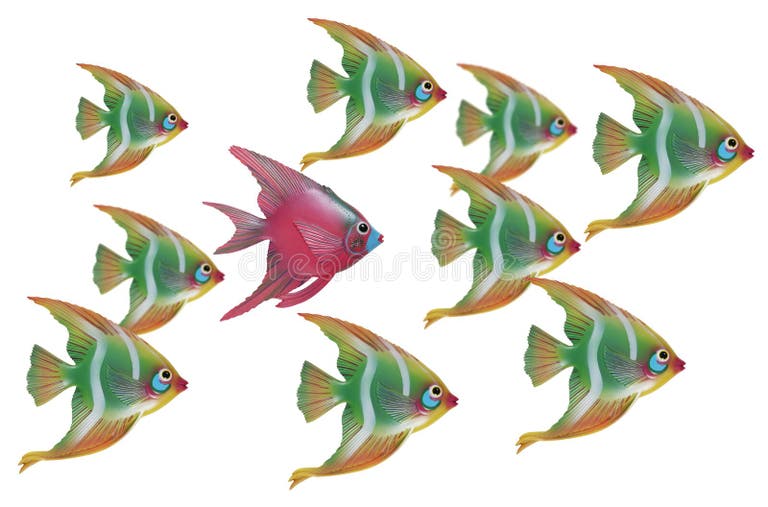 1,157 Cute School Fish Stock Photos - Free & Royalty-Free Stock Photos ...