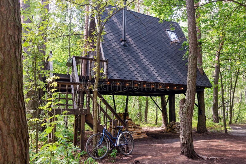 Unique a-frame Treehouse Situated among Pine Trees with Elevated Deck ...