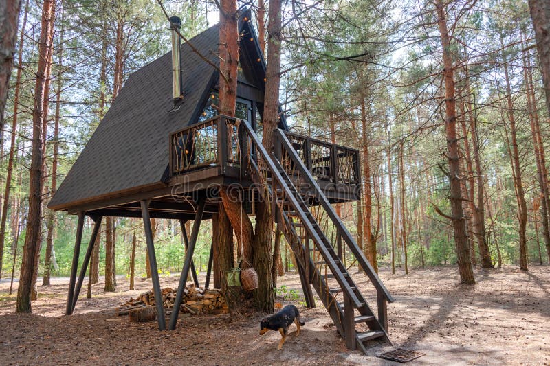 Unique a-frame Treehouse Situated among Pine Trees with Elevated Deck ...