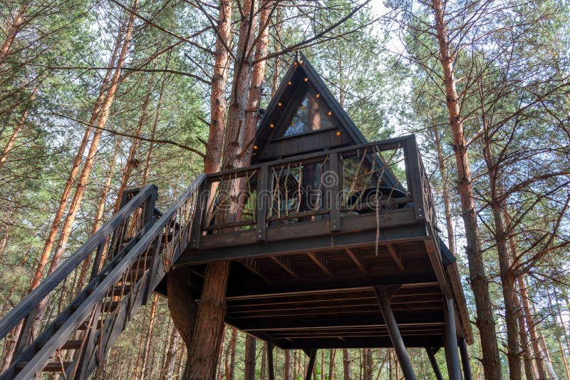 Unique a-frame Treehouse Situated among Pine Trees with Elevated Deck ...