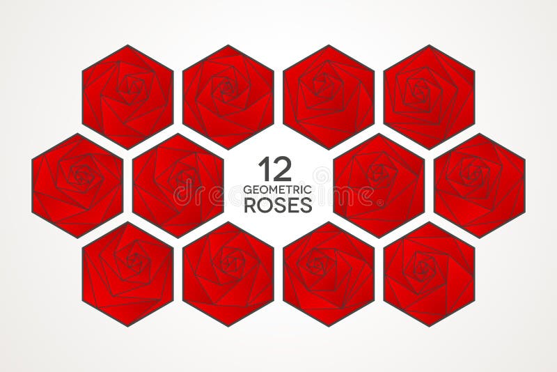 12 Unique Geometric Roses Set Stock Vector - Illustration of poly ...