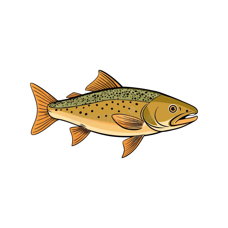 Unique Gila Trout Illustration Featuring Realistic Colors Stock Image ...