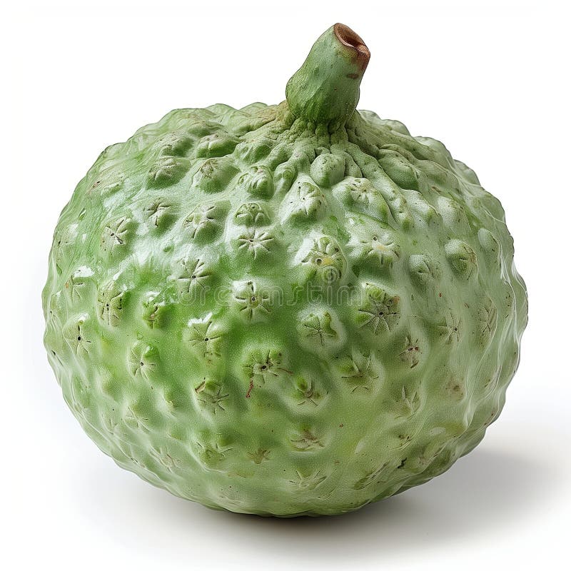 Unique Green Fruit with Bumpy Texture Displayed Against a White ...