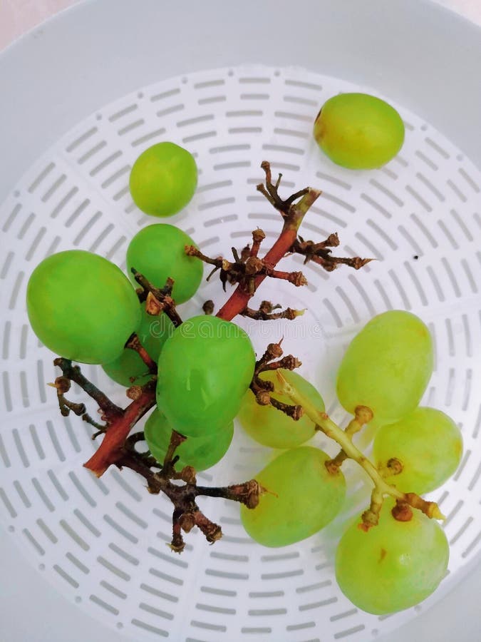 The unique green grapes stock image. Image of juicy - 284433407