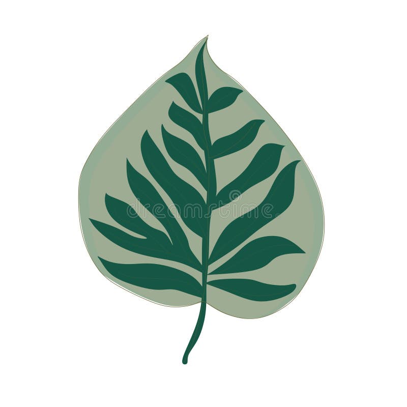 Unique Green Leaf Vector Art Stock Illustration - Illustration of ...
