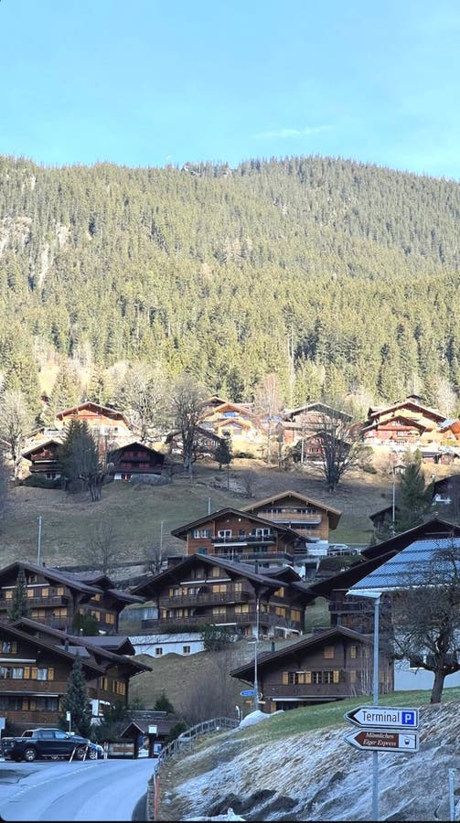 A Unique Green View at the End of Winter Stock Image - Image of green ...