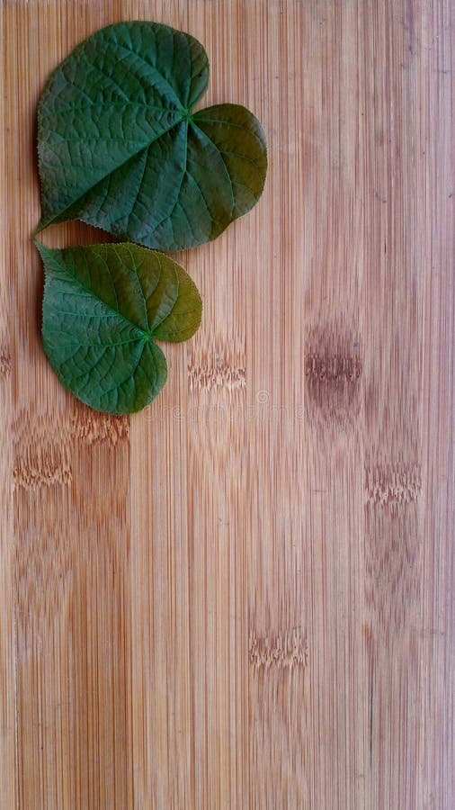 Unique Heart Shaped Leaves on a Bamboo Tray Stock Image - Image of wood ...