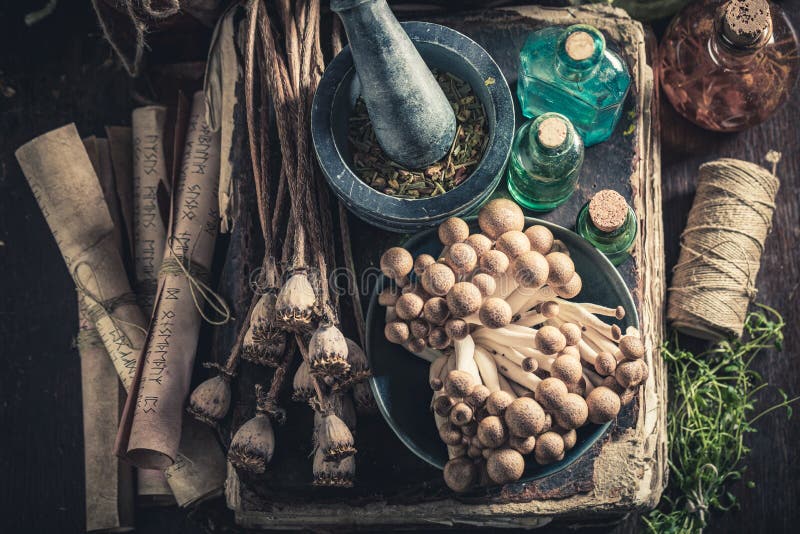 Unique Herbalist Laboratory with Herbs and Mushrooms Stock Image ...