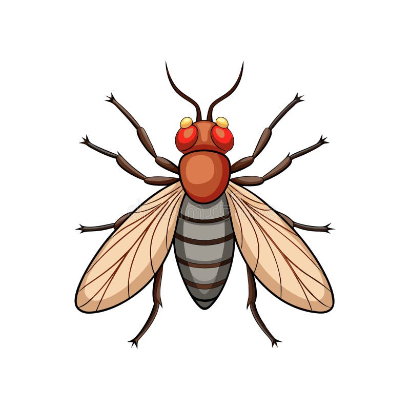 Unique Hessian Fly Animal Realistic Illustration Stock Illustration ...