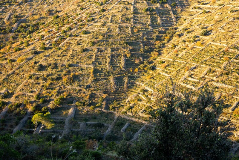 Unique Hillside Structure with Agricultural Terracing Stock Image ...