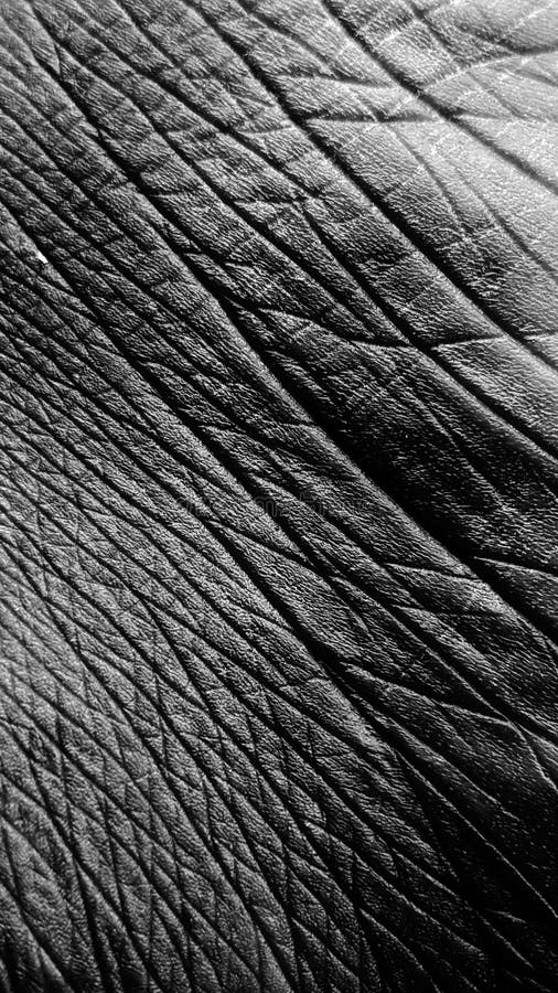 Unique human skin texture stock image. Image of dermatology - 307719863