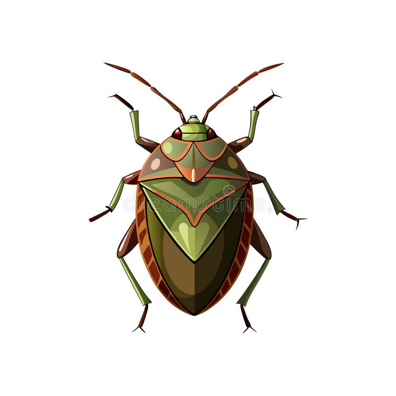 Unique Brown Marmorated Stink Bug Realistic Illustration Stock ...