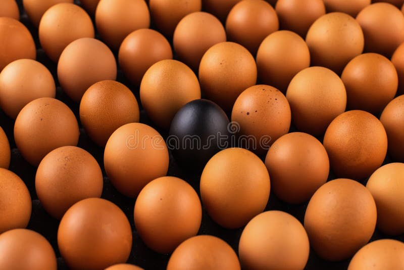 Unique and Innovative and Different Concept Stock Image - Image of ...