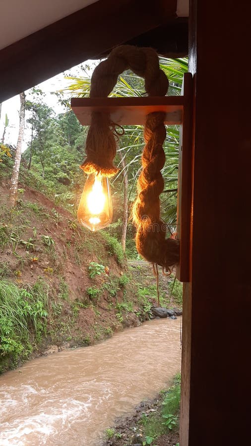 A Unique Light Bulb Design with a Tree Inside Stock Image - Image of ...