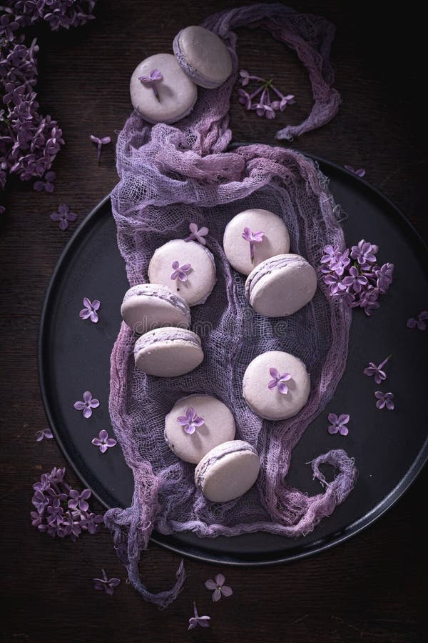 Unique Macaroons of Flower Flavour. Creative Dessert Compositions Stock ...