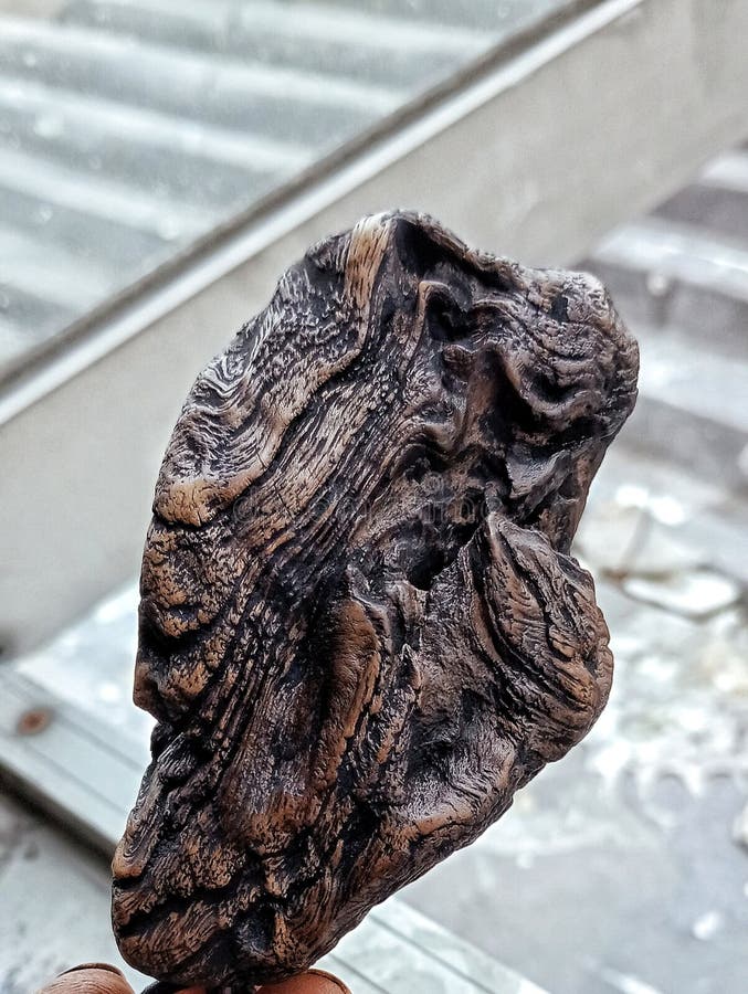 Unique and Natural Ancient Items Made from Wood Stock Photo - Image of ...