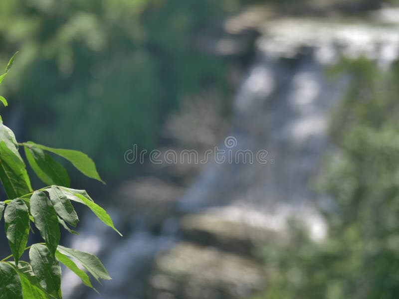141 Beautiful Multi Level Waterfall Stock Photos - Free & Royalty-Free ...