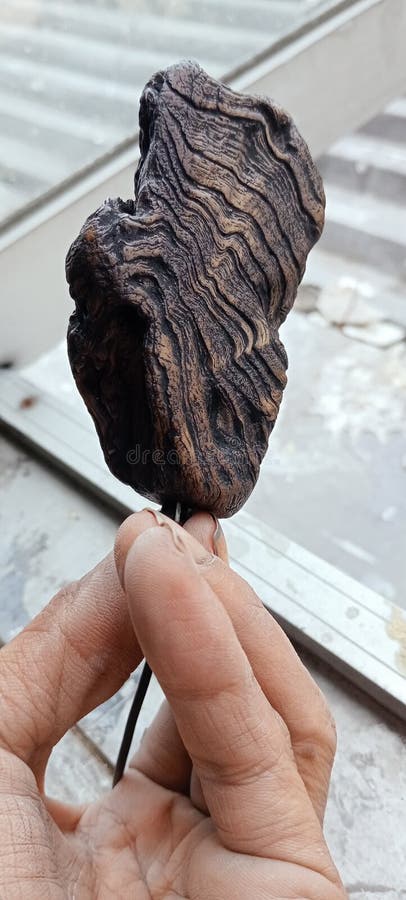 Unique and Natural Objects Made from Wood Stock Image - Image of ...