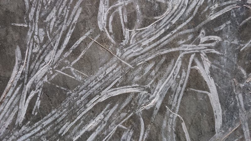 Root Texture On The Wall Photo Stock Image - Image of paint, material ...